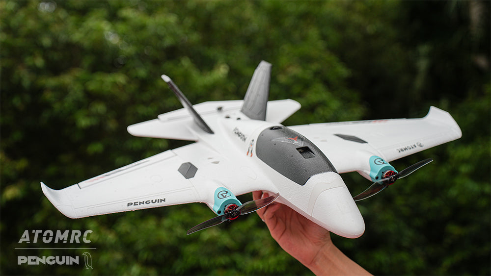 AtomRC FPV RC Fixed Wing Aircraft Airplanes Flying Wings – SKYZONEFPV