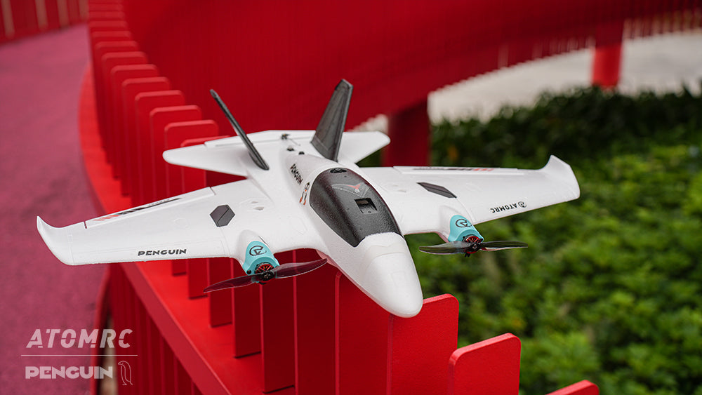 ATOMRC Penguin Fixed Wing RC Drone Outdoor Model Toys Twin Motor 750mm ...