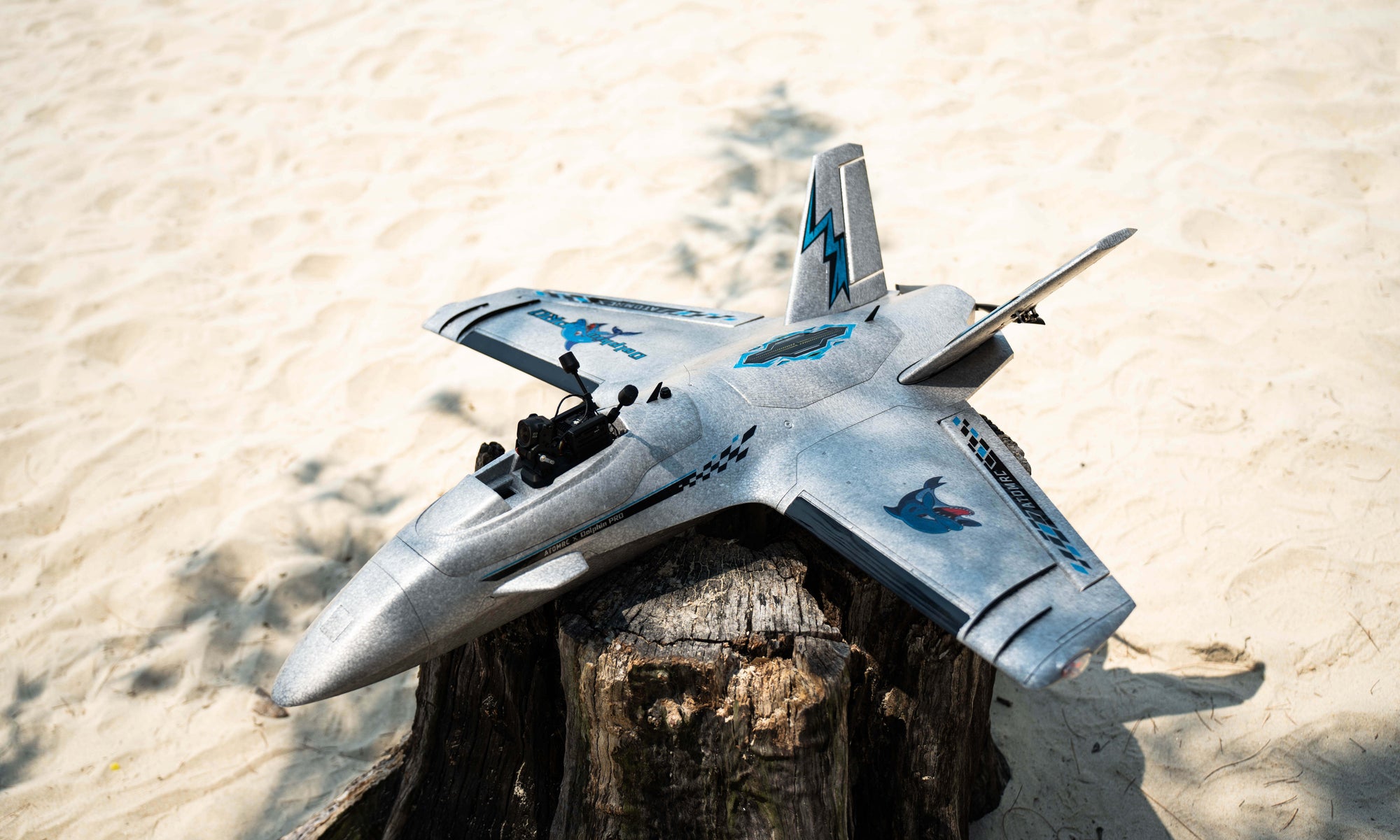 Atomrc Dolphon Pro FPV Fixed Wing 800mm Glider Outdoor FPV Drone Toys ...