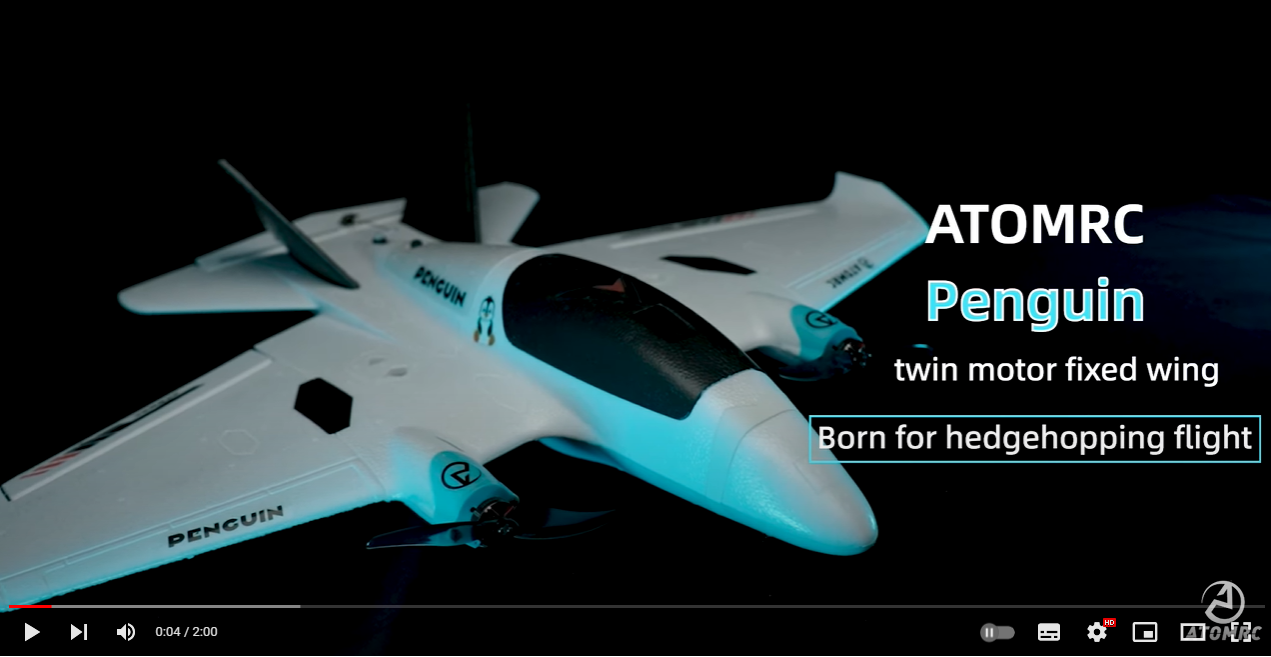 ATOMRC Penguin Fixed Wing RC Drone Outdoor Model Toys Twin Motor 750mm ...